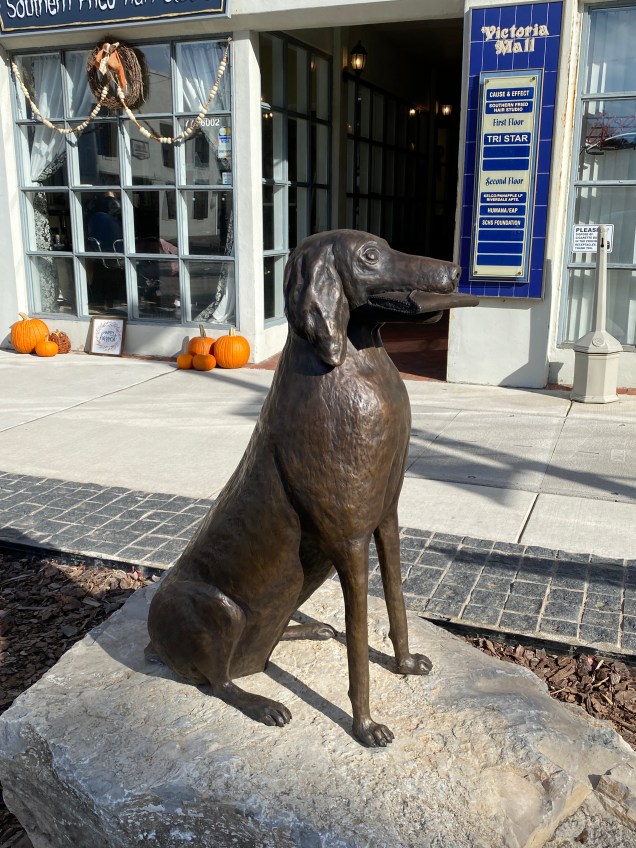 Bertie the Dog: Sculpture of a Beloved Downtown Pet – Out and About in ...
